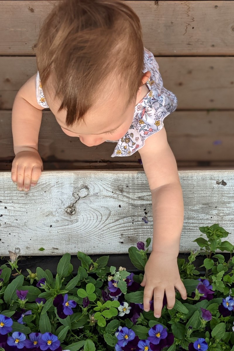 MomLife Gardening With Baby Alaska Highway News momlife-gardening-with-baby-alaska-highway-news