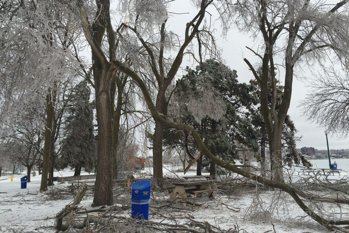Storm Clean Up Continues In Barrie Barrie News