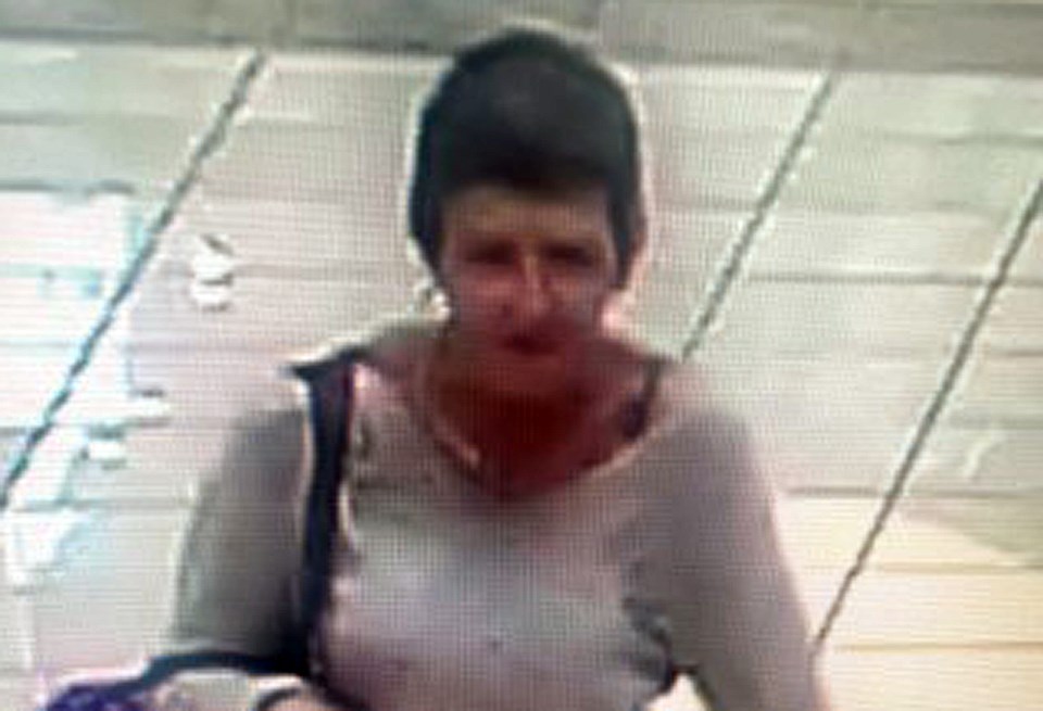 Metrotown hair-pulling assault suspect sought by Burnaby RCMP - Burnaby Now Metrotown hair-pulling assault suspect sought by Burnaby RCMP - Burnaby Now