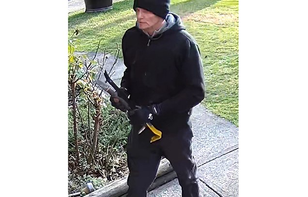 Richmond Rcmp Asking For Publics Help In Identifying Break In Suspects Richmond News 3042