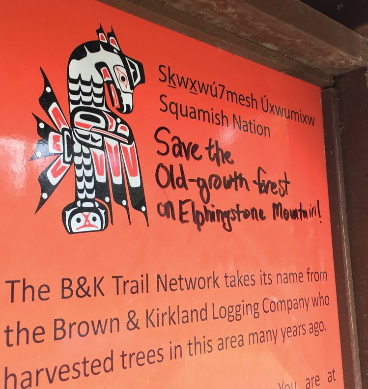 Judge Grants New Injunction Against Logging Protesters Coast Reporter