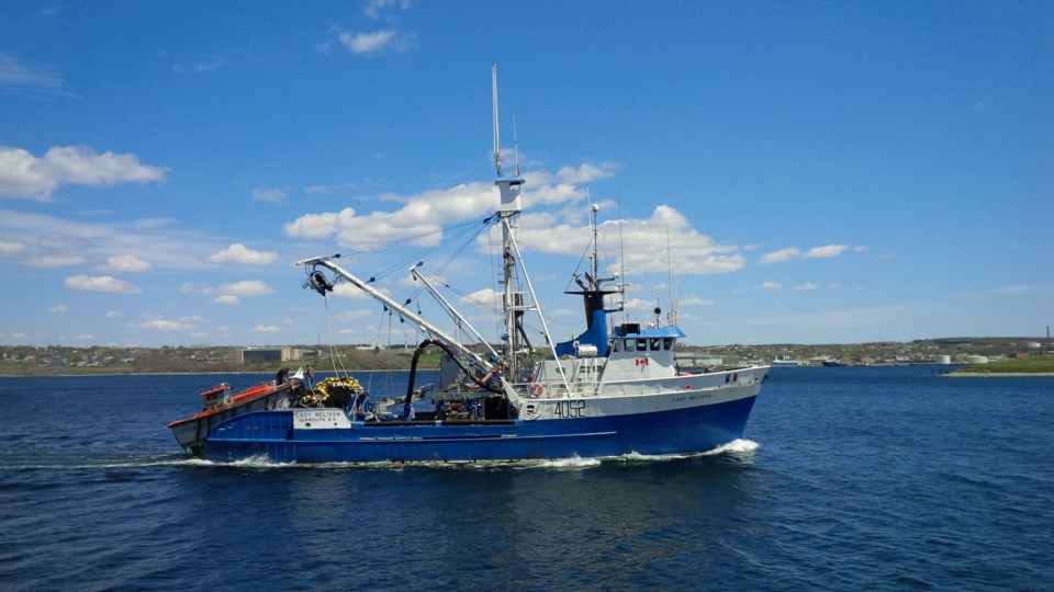DFO announces closures of Atlantic mackerel, bait fisheries to restore ... DFO announces closures of Atlantic mackerel, bait fisheries to restore ...