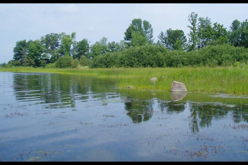 Severn Sound Environmental Association launches Restore the Shore ... Severn Sound Environmental Association launches Restore the Shore ...