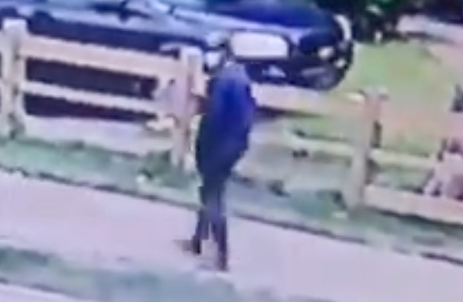 Police Search For Suspect After Indecent Act Reported In Newmarket Newmarket News 5701