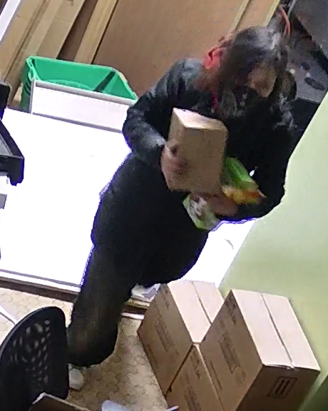 Prince George Rcmp Seeking Break And Enter Suspects Prince George Citizen 1067