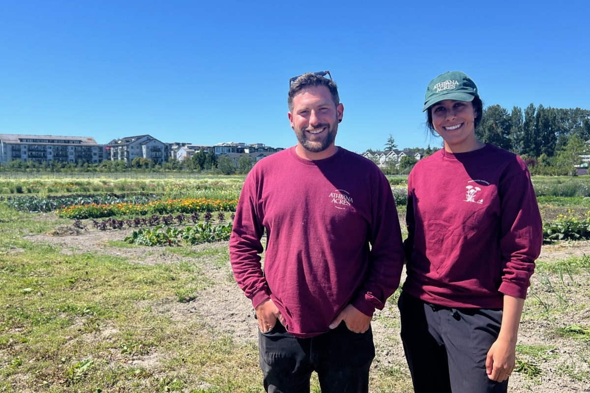 What does regenerative farming mean to this Richmond farm? - Richmond News What does regenerative farming mean to this Richmond farm? - Richmond News