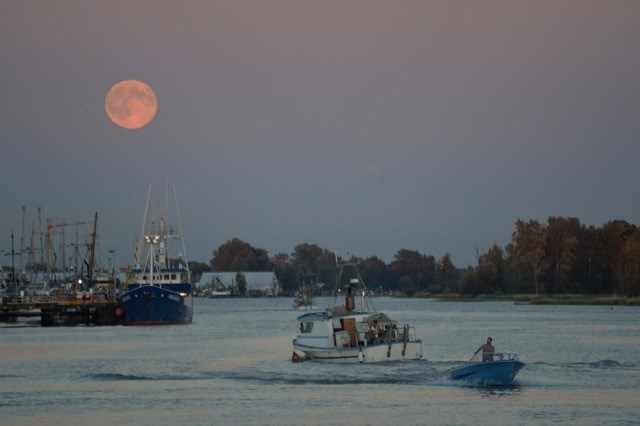 Full Moon Over Steveston Richmond News 5558
