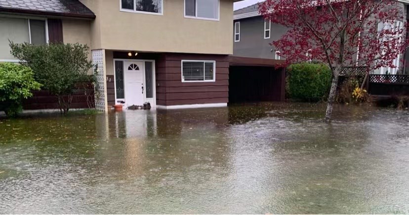 Atmospheric River Causing Flooding In Richmond Bc Richmond News 4112