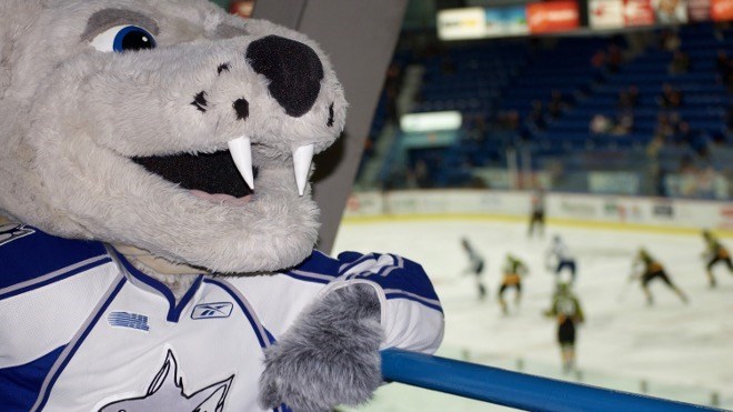 Sudbury Wolves, Sudbury Five gear now available at the New Sudbury ... Sudbury Wolves, Sudbury Five gear now available at the New Sudbury ...