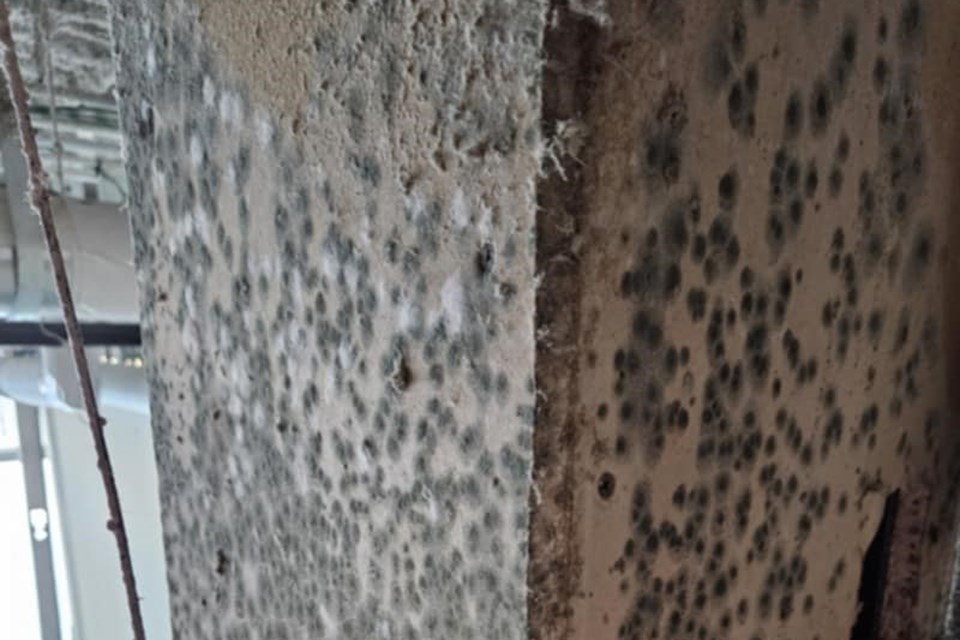 Ministry of Labour investigating jobsite mould complaint - Sudbury News Ministry of Labour investigating jobsite mould complaint - Sudbury News
