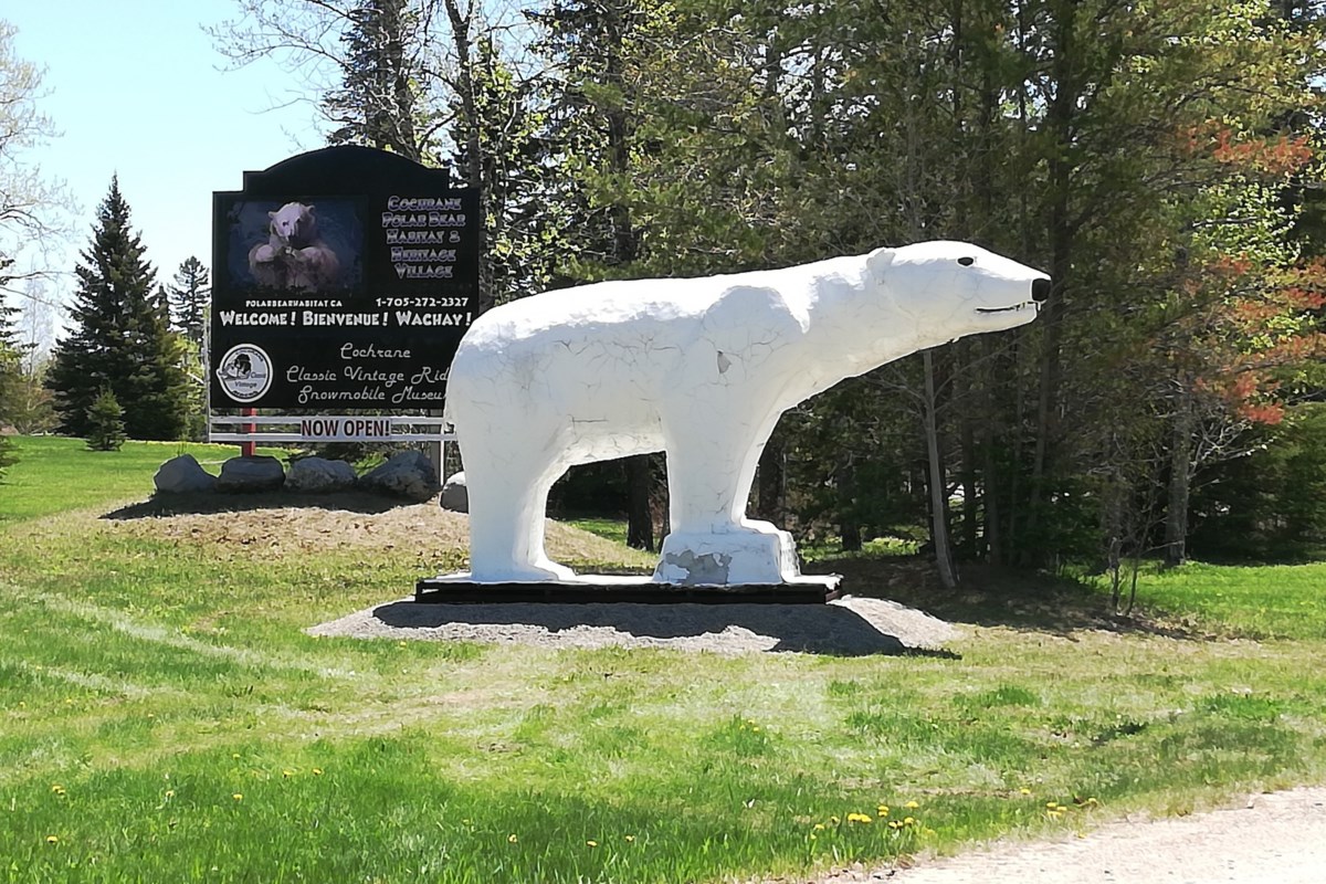 Two Arrested After Break In To Polar Bear Habitat In Cochrane Sudbury News