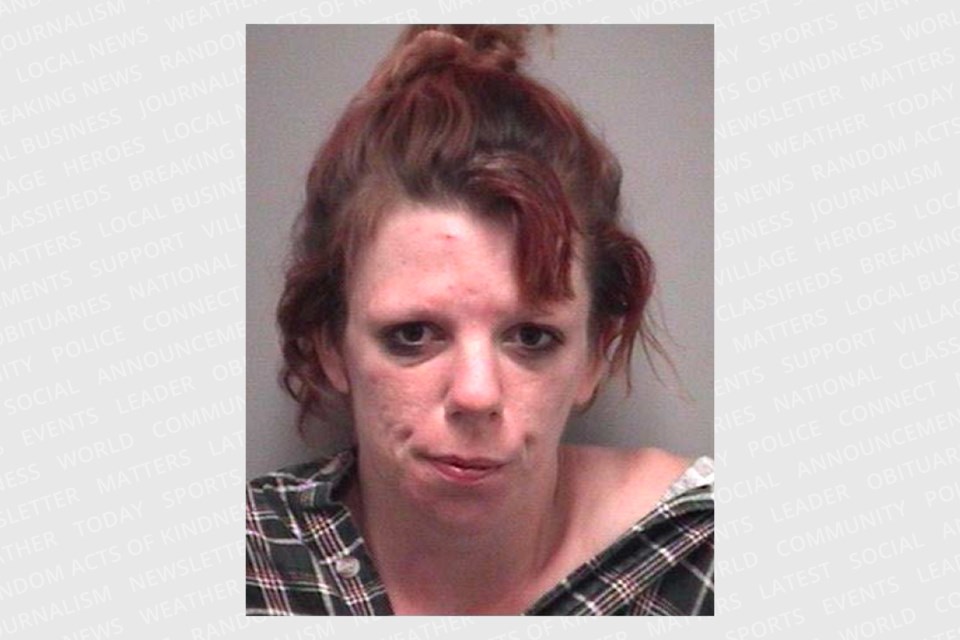 Police Seek Help Locating Missing Female