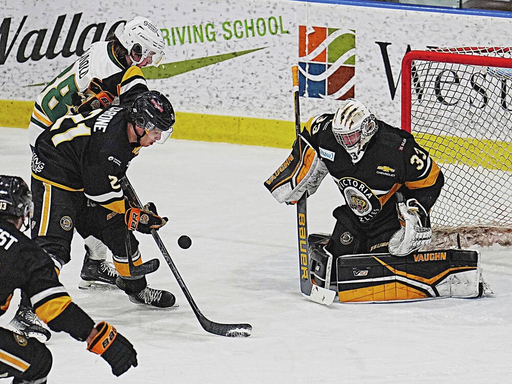 Victoria Grizzlies trade for son of former NHLer Rolston - Victoria ... Victoria Grizzlies trade for son of former NHLer Rolston - Victoria ...