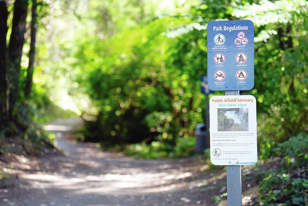 Blue-green algae alert issued for Elk and Thetis lakes - Victoria Times ... Blue-green algae alert issued for Elk and Thetis lakes - Victoria Times ...