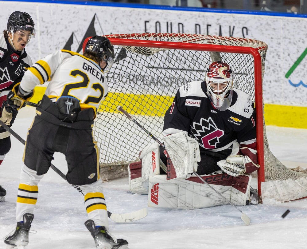 Victoria Grizzlies confident despite facing elimination - Victoria ... Victoria Grizzlies confident despite facing elimination - Victoria ...